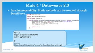 Mule 4 vanrish | PPT