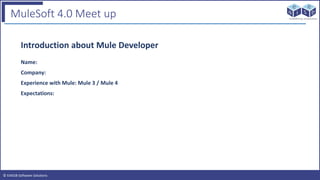 Mule Hyderabad Meetup (Mule 4) | PPT