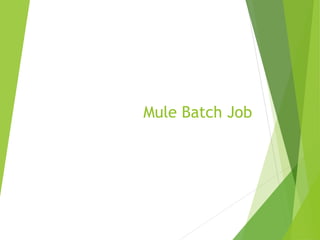 Mule batch | PPT | Free Download