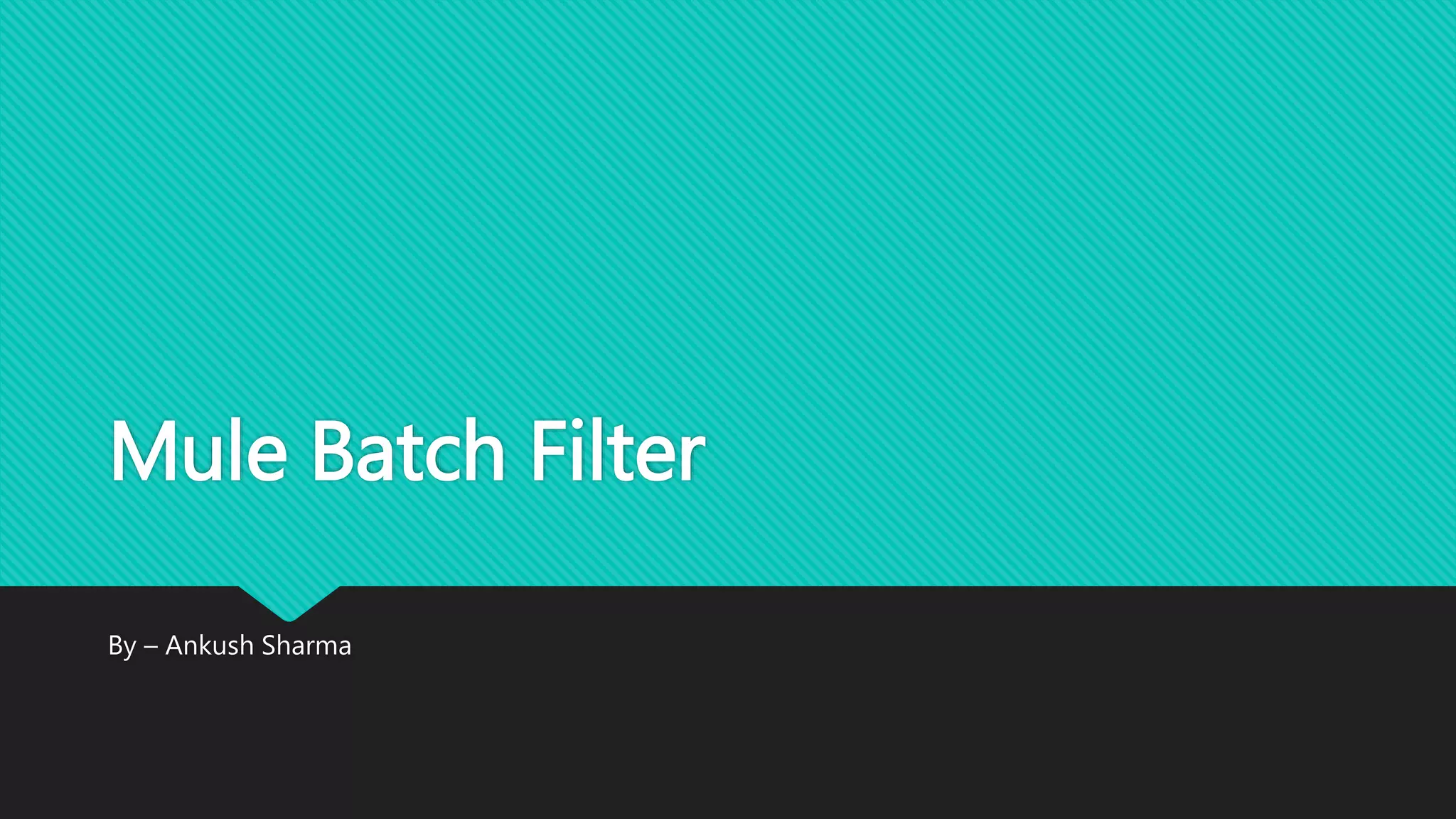 Mule Batch Filter | PPT