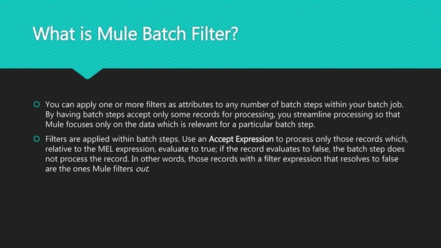 Mule Batch Filter | PPTX
