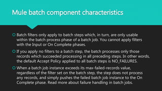 Mule Batch Filter | PPTX