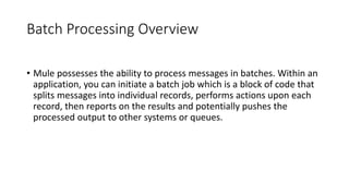 Mule batch processing | PPT