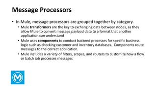 Mule chapter2 | PPTX | Computer Networking | Computing