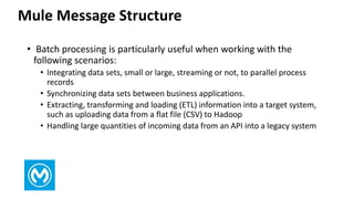 Mule chapter2 | PPTX | Computer Networking | Computing