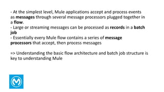 Mule chapter2 | PPTX | Computer Networking | Computing