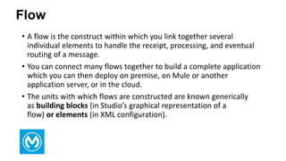 Mule chapter2 | PPTX | Computer Networking | Computing