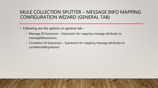 Mule Collection Splitter | PPTX | Computing | Technology & Computing