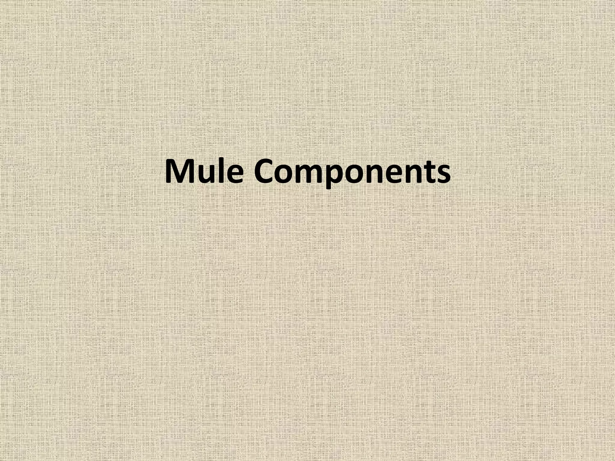 Mule components | PPT