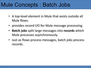 Mule concepts flows | PPT