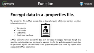 Mule Credentials Vault | PPTX