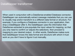 Mule database connector | PPT