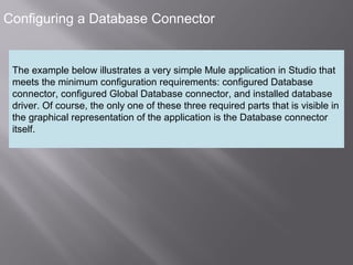 Mule database connector | PPT