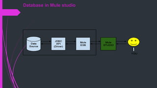 Mule data bases | PPT