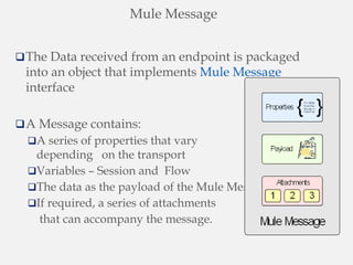 Mule enterprise service introduction | PPTX