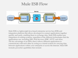 Mule enterprise service introduction | PPTX