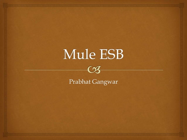 Mule esb | PPTX | Computer Networking | Computing
