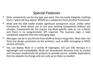 Mule ESB | PPT
