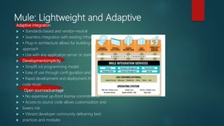 MULE ESB DEMO | PPTX