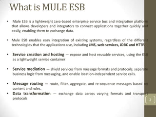 Mule esb and_relevant_components | PPT