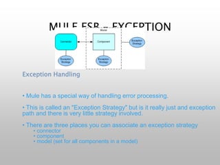 Mule esb basic introduction | PPT