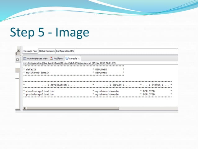Mule Esb Intra Application Communication Ppt
