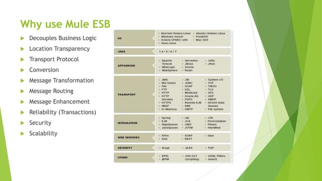 Mule esb demo | PPTX