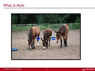 Mule ESB Intro | PPT