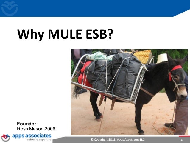 Mule esb presentation