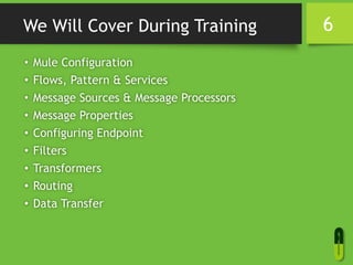 Mule ESB Training | PPTX