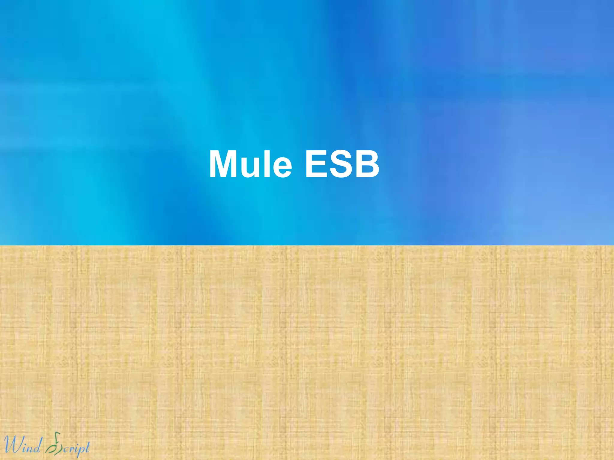 Mule esb usecase | PPTX