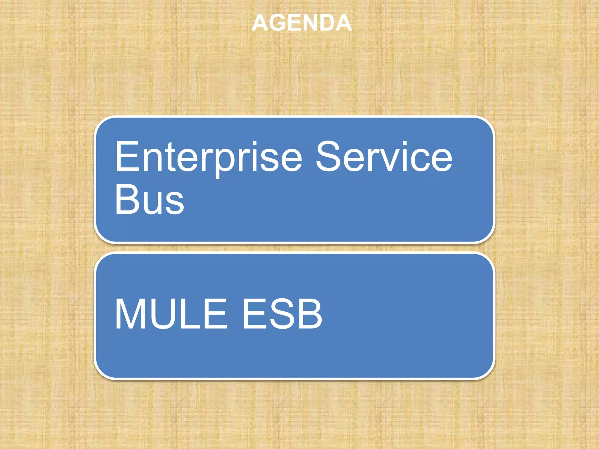 Mule esb usecase | PPTX