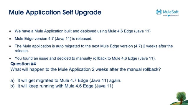 Mule Experience Hub and Release Channel with Java 17 | PPTX | Web Development | Internet