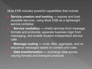 Mule in a nutshell | PPTX
