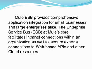 Mule introduction | PPTX
