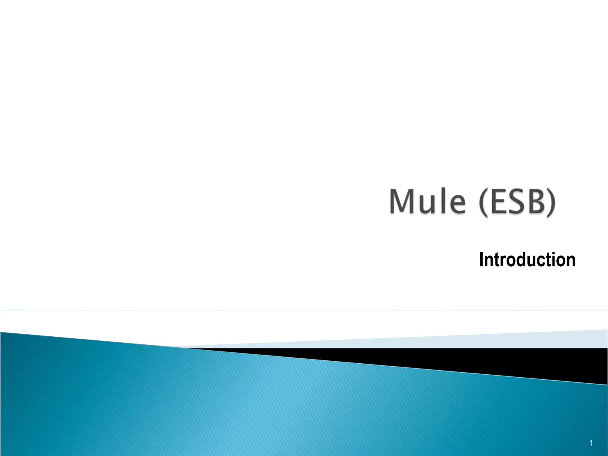 Mule introduction | PPT