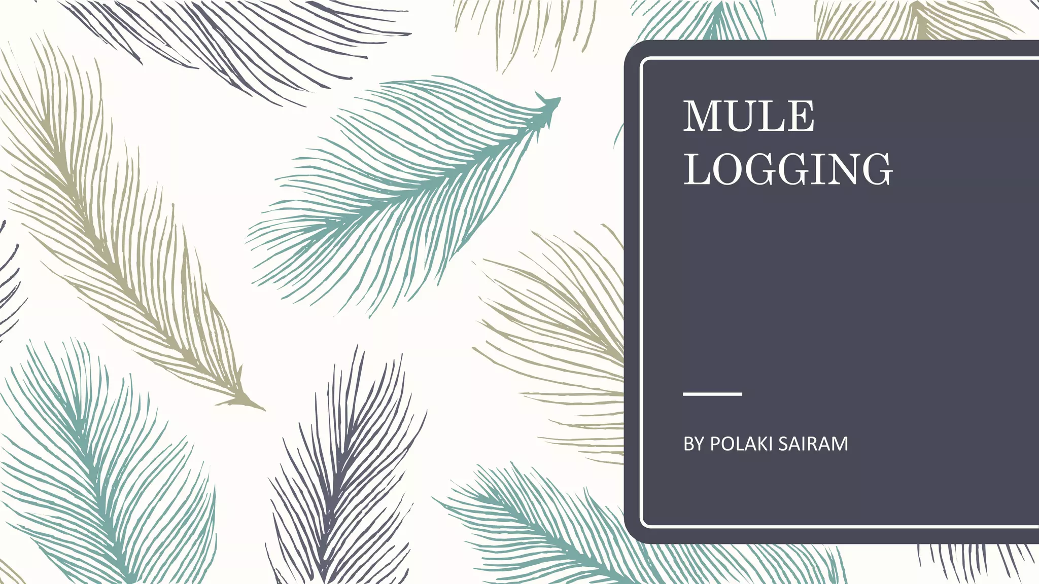 Mule custom logging | PPT