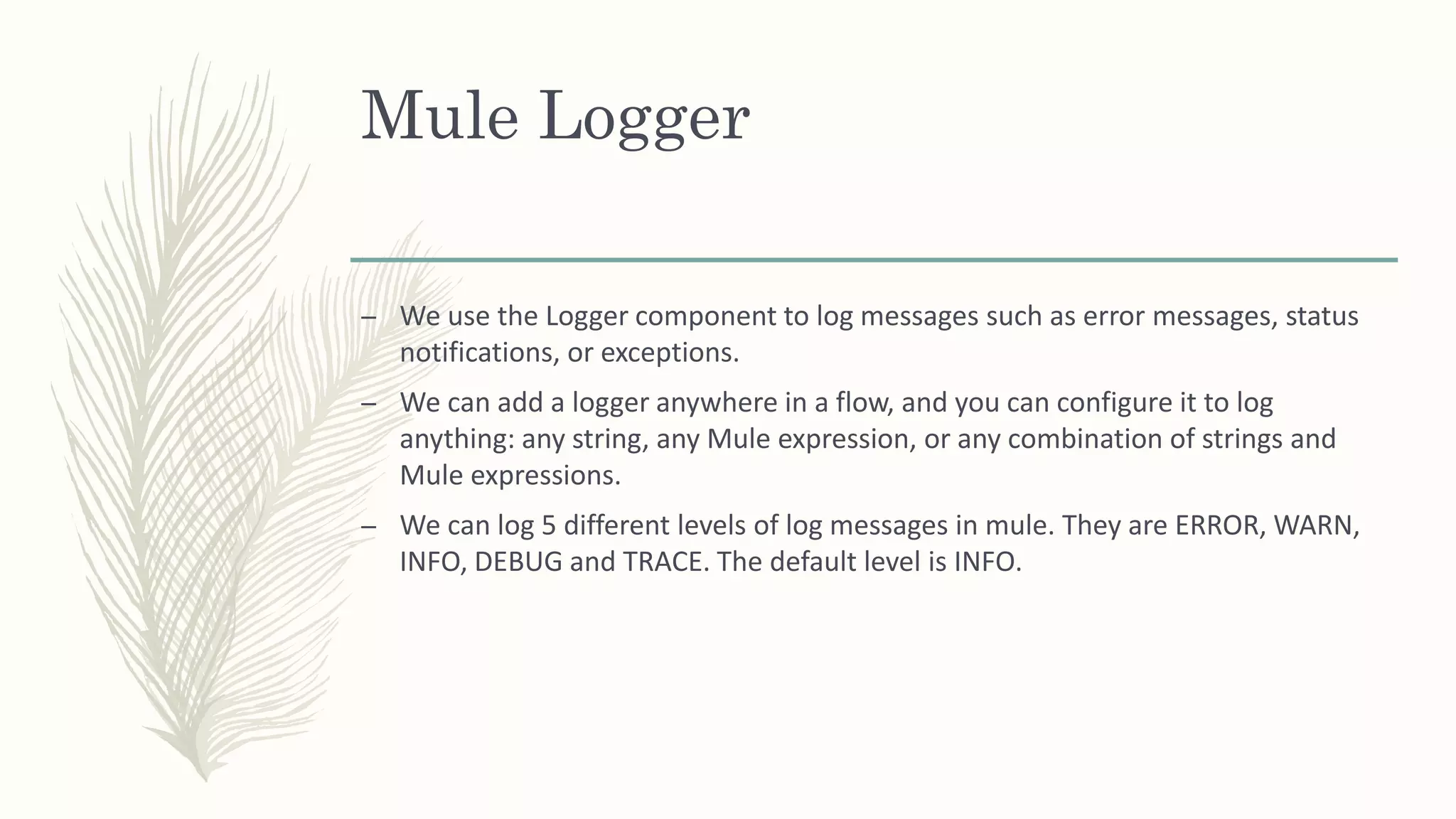 Mule custom logging | PPT