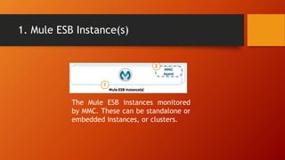Mule management console Architecture | PPTX