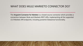 Mule Marketo Connector | PPTX | Web Design and HTML | Internet