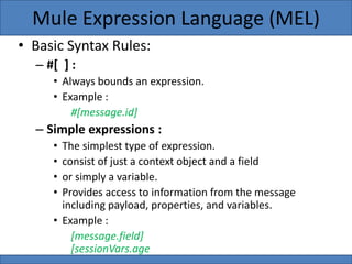 Mule mel 3 | PPT