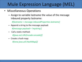 Mule mel 5_tips | PPT