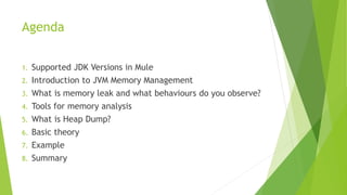 Mule memory leak issue | PPTX | Programming Languages | Computing