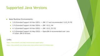 Mule memory leak issue | PPTX | Programming Languages | Computing