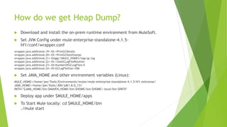 Mule memory leak issue | PPTX | Programming Languages | Computing