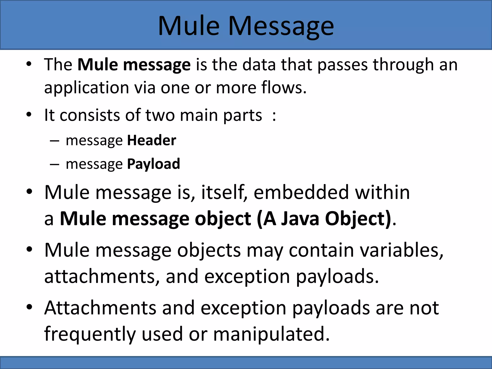 Mule message | PPTX