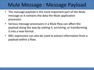 Mule message | PPTX