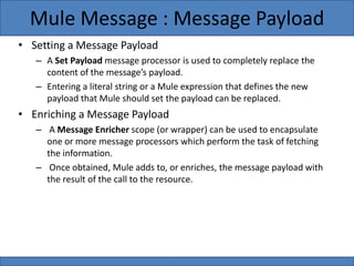 Mule message | PPTX