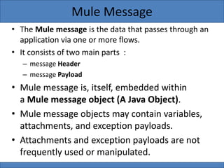 Mule message | PPTX