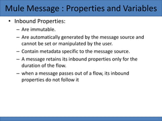 Mule message | PPTX